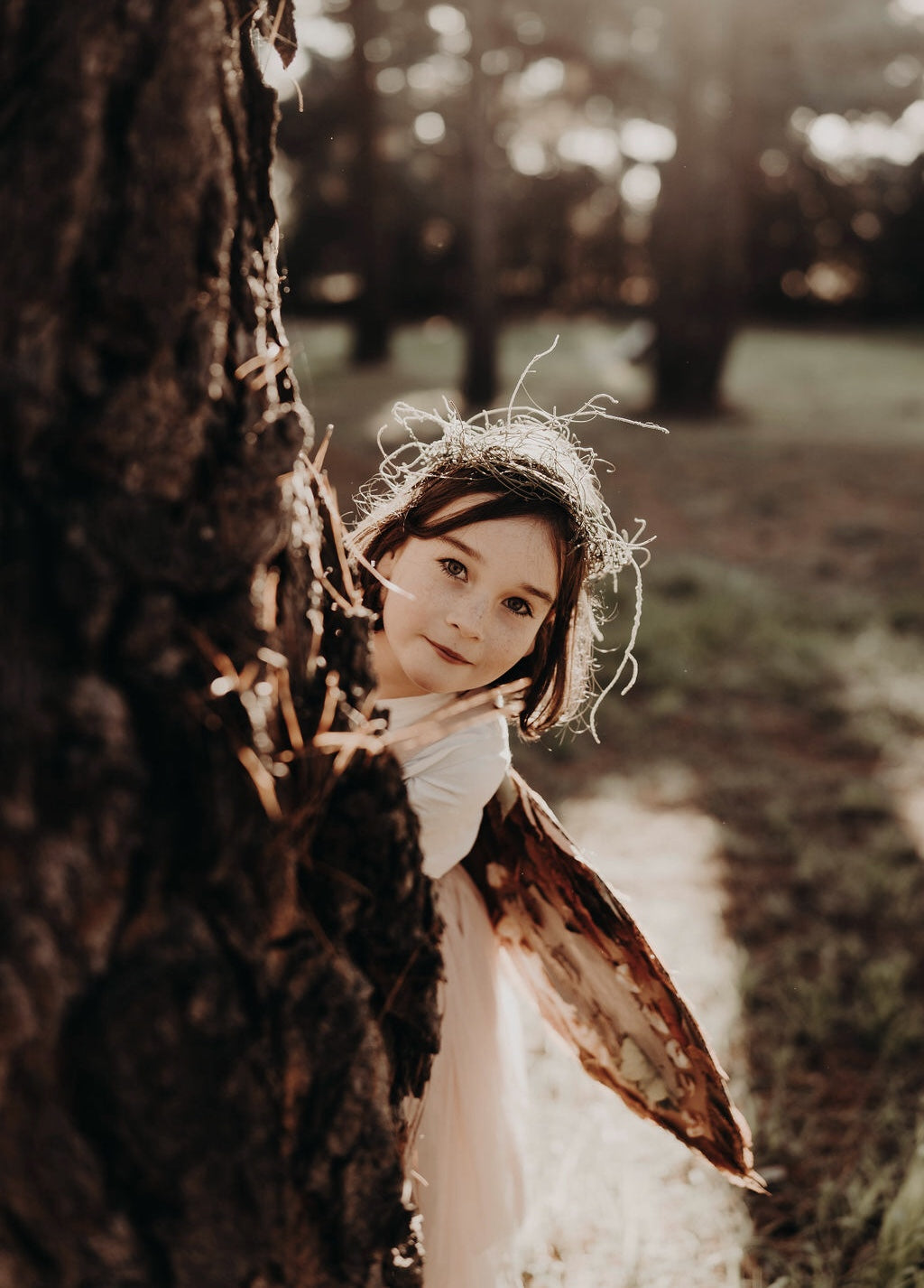 Pixie Messages – The Wish Pixies